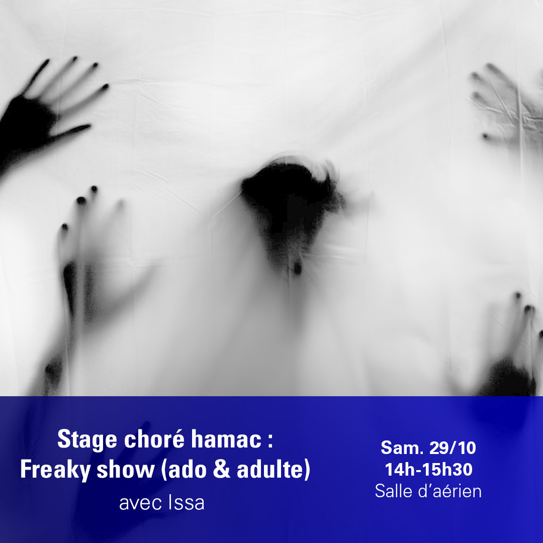 École de Pole dance, Hamac et Cerceau aériens - Labège, Toulouse (31)