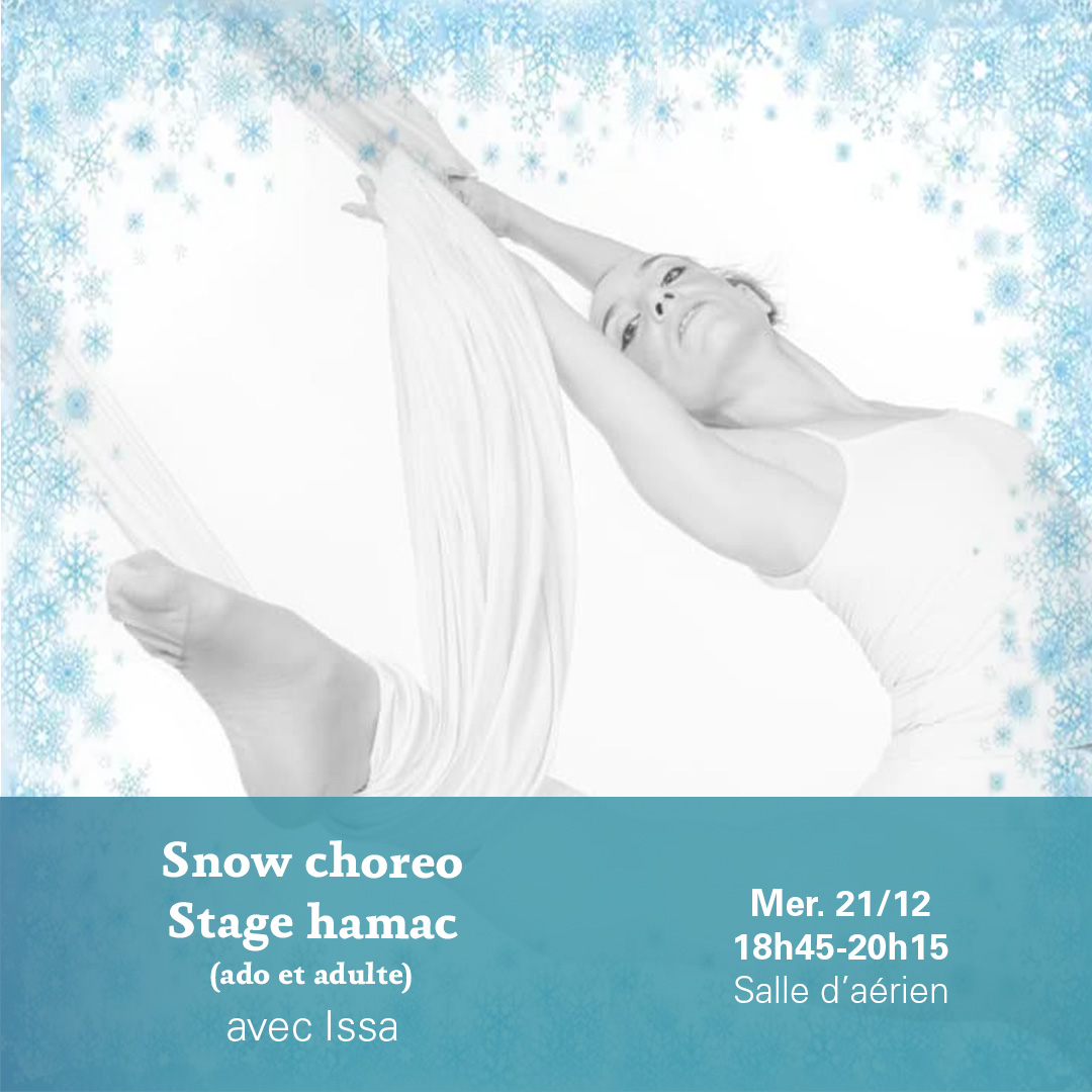 21/12 : STAGE HAMAC SNOW CHOREO AVEC ISSA - 31